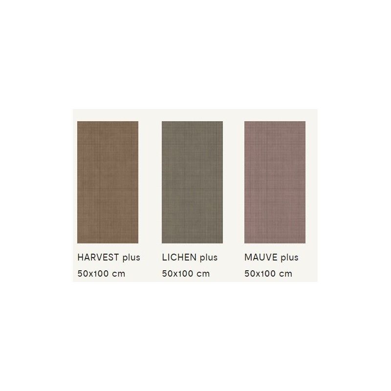 SLIMTECH SEGNI SEGNO + LICHEN 50X100 3,5 MM - LEA CERAMICA LSBSG16