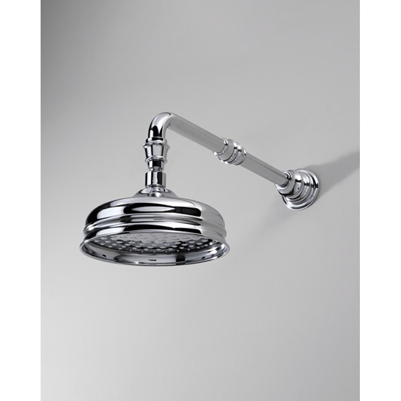 Shower Roses and Arms Pomme de douche avec Disque Anticalcaire L15xH13xD15 - Chrome